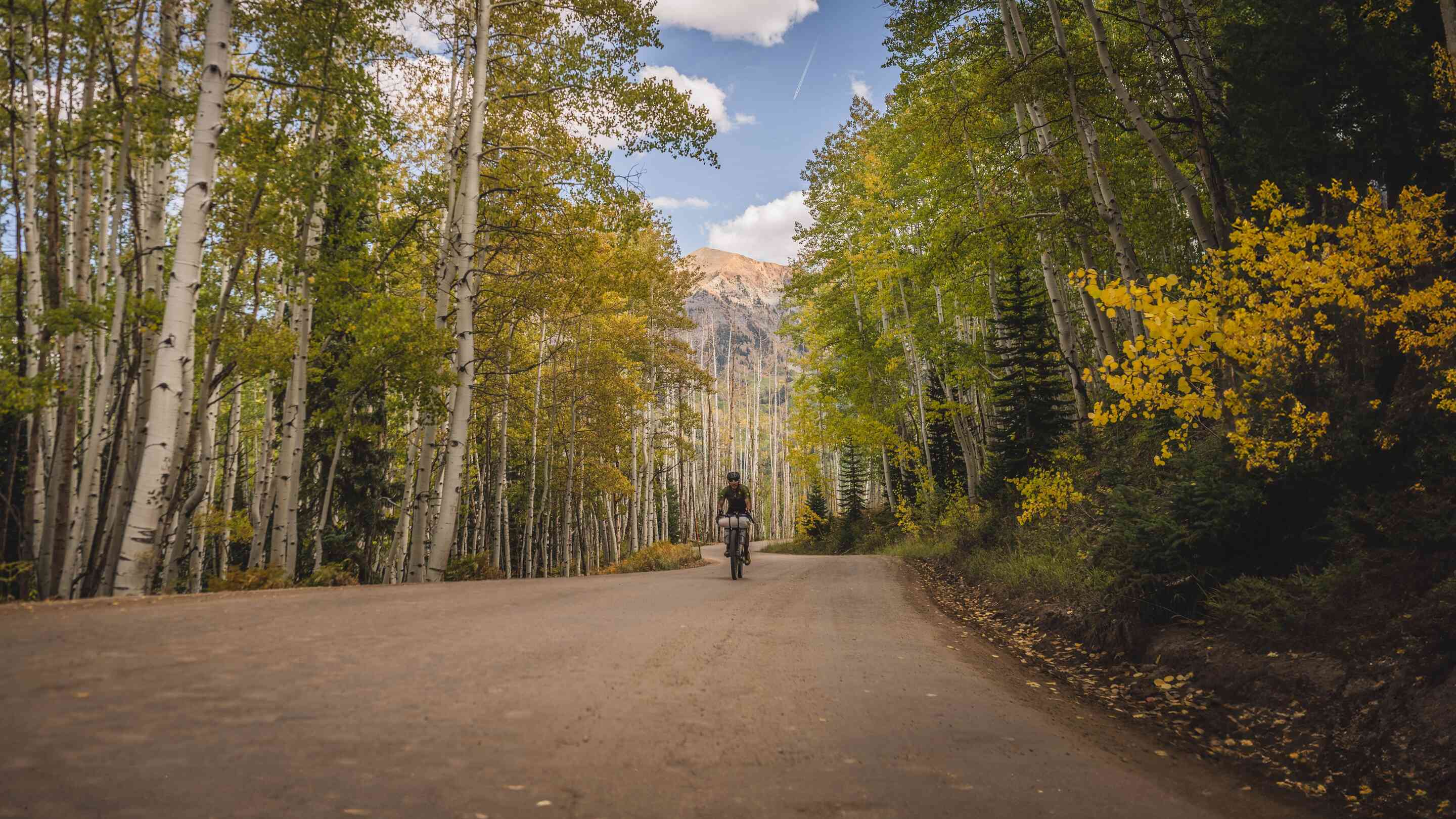 Cool & Cold Weather Cycling Clothing | Fall Collection | Pactimo